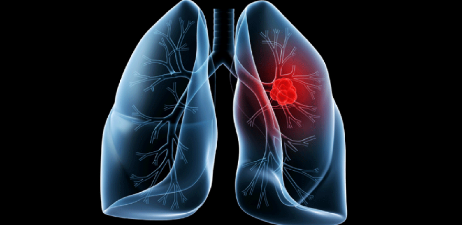 Krishna Kaushik— Profile